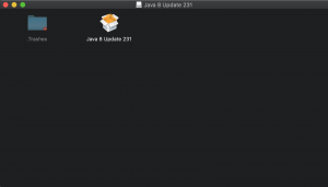 【初心者】JavaのJREとは？概要からインストール方法までを解説！【MACユーザー向け】 | ポテパンスタイル
